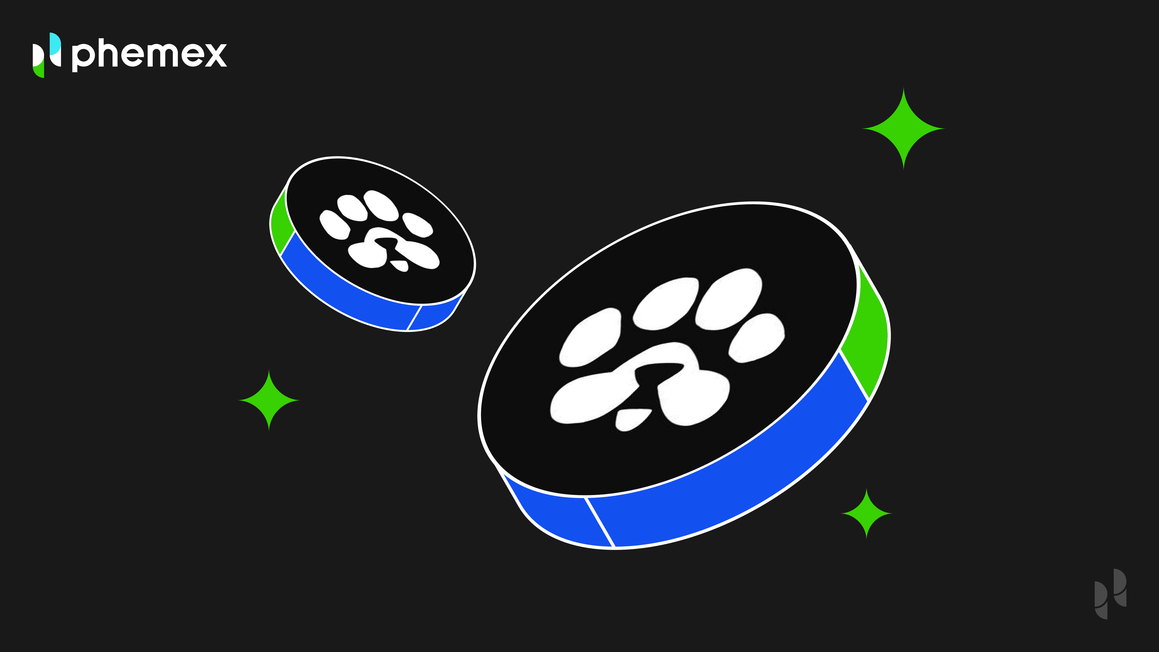 What is PAWS Coin? The Solana Memecoin that Began as a Telegram Mini-app