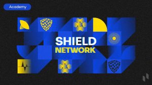 What is Shield Network: Prevent Rug-pulls and Scams - Phemex Academy