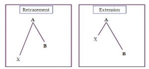 What are Harmonic Patterns: Predicting Price Actions - Phemex Academy