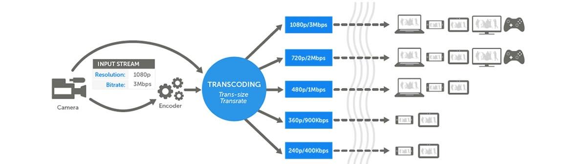 What is Livepeer: Decentralized Live-Streaming - Phemex Academy
