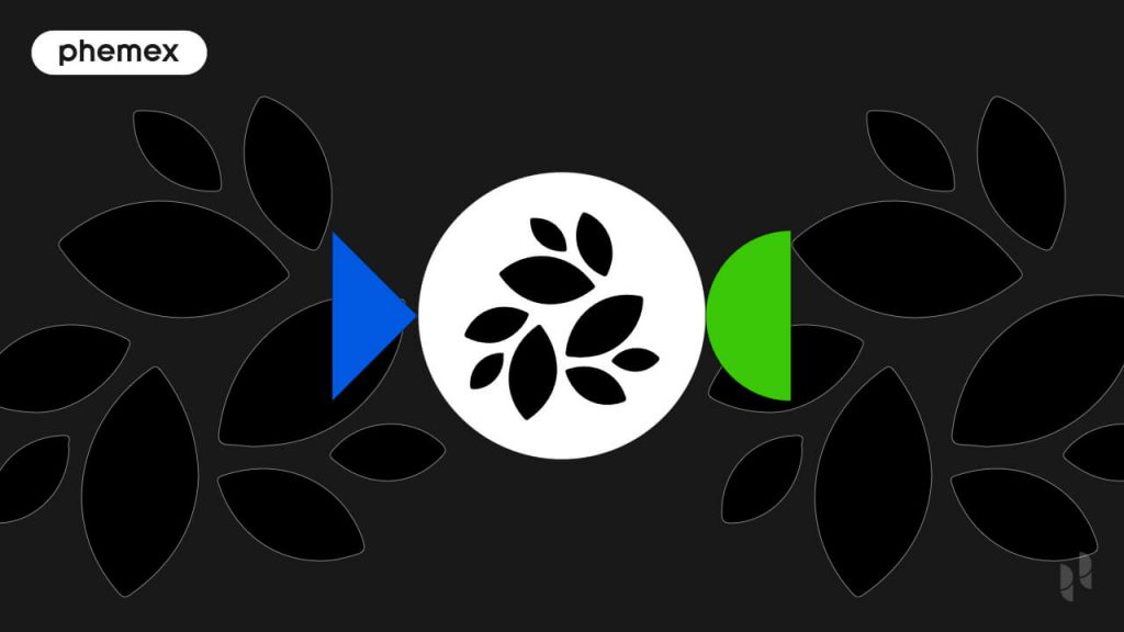 What Is NKN Decentralizing The Internet Using Blockchain Phemex Academy What Is NKN Decentralizing The Internet Using Blockchain Phemex Academy