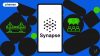 What is Synapse Protocol: Secure Cross-Chain Bridge - Phemex Academy