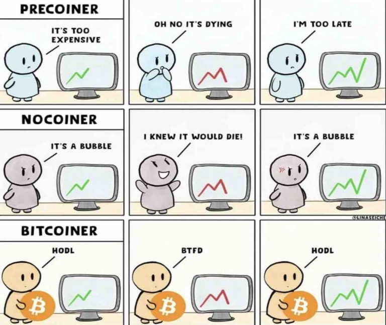 Don't Be A Nocoiner, You Should Own Some Crypto - Phemex Blog
