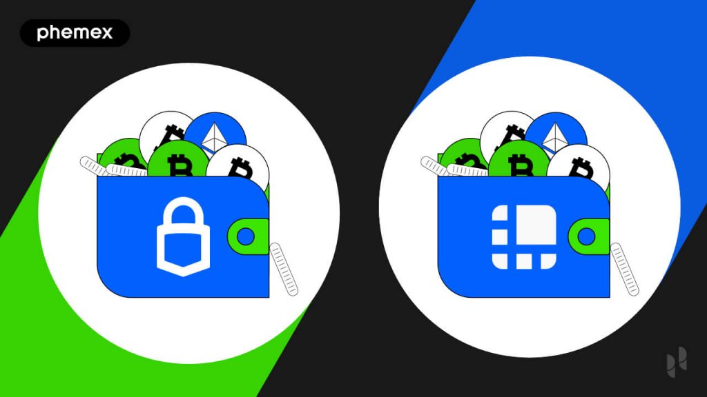 Trezor VS Ledger Crypto Wallets: Which Is Better? - Phemex Academy