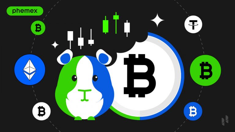 Ever Heard Of The Crypto Trading Hamster? - Phemex Blog